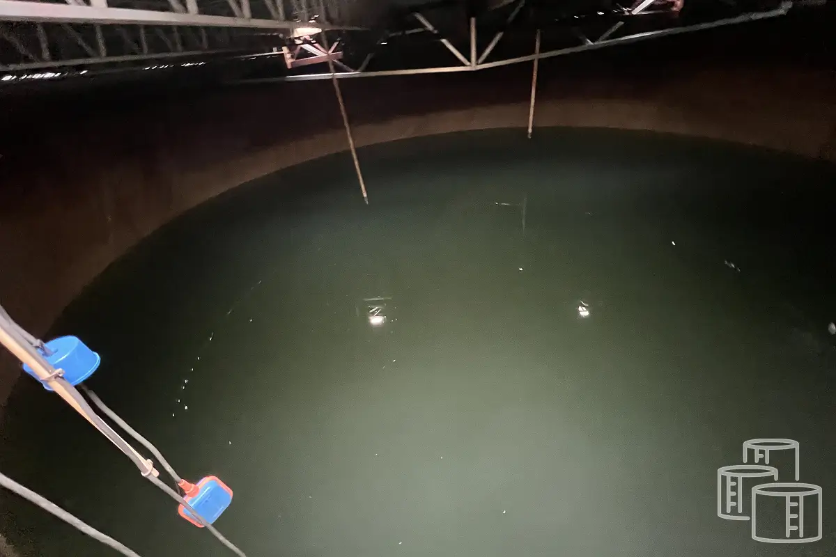7 Water Tank Maintenance Mistakes That Cause System Failure